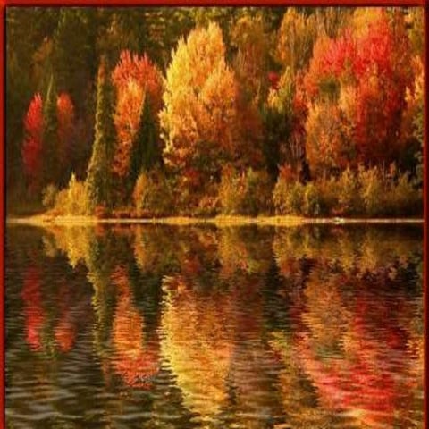 Autumn Is Here | PPTX