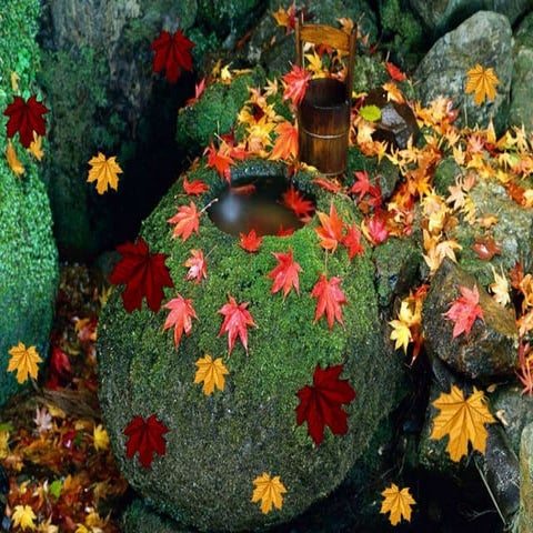 Autumn leaves | PPSX