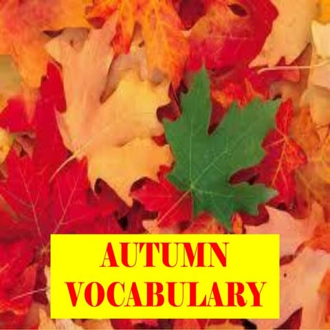 Autumn vocabulary | PDF