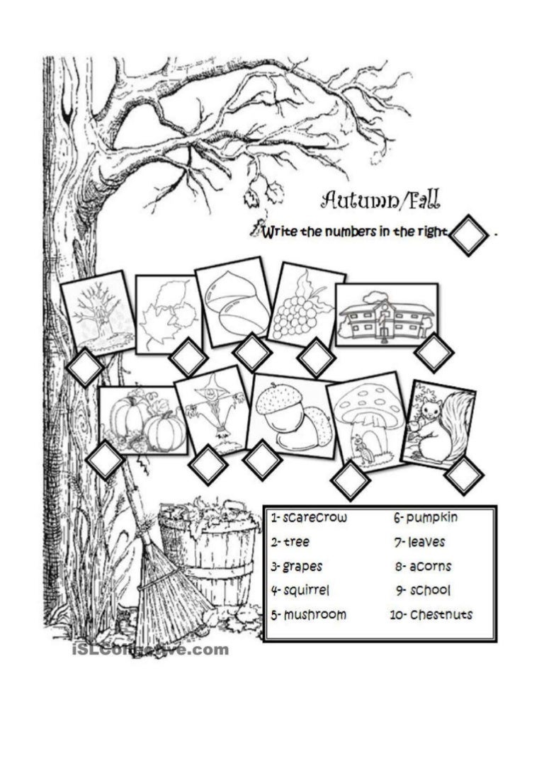 Autumn vocabulary 2016