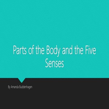 Body Parts and the Five Senses | PPTX