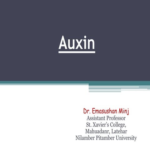 Plant Hormone (Part-1)- Auxin | PPTX | Endocrine and Metabolic Diseases | Diseases and Conditions