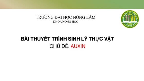 TÌM HIỂU VỀ VẬT LIỆU DỆT (FIBER, YARN) | PDF