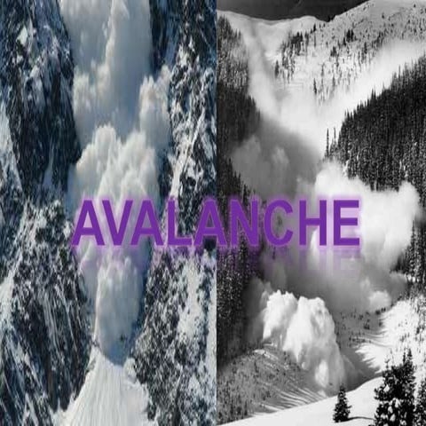 Natural disasters | PPTX