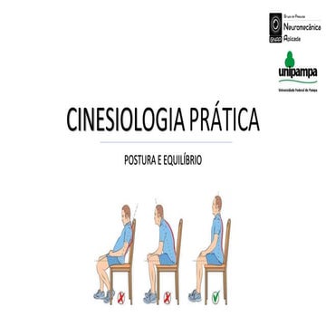 Avaliação Postural - Apostila | PDF