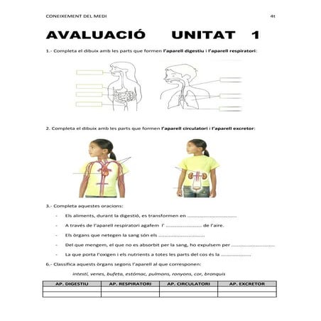 Avaluació unitat 1 | PDF