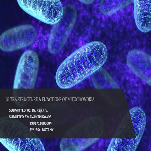 Mitochondria ppt | PPTX