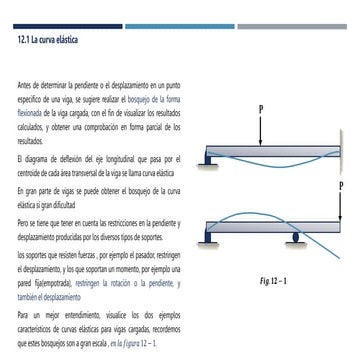 curva elastica.pptx