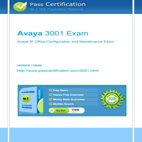 Avaya 3001 | PDF