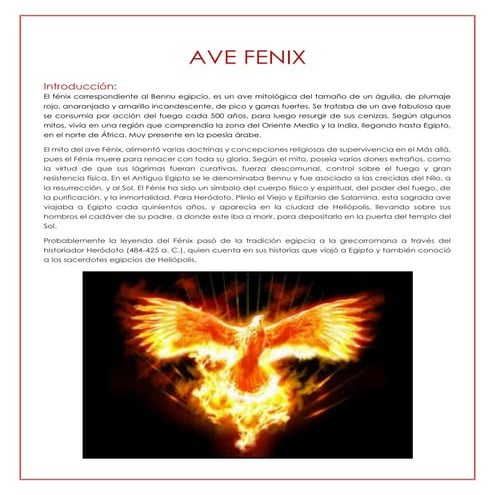 Ave fenix | PDF