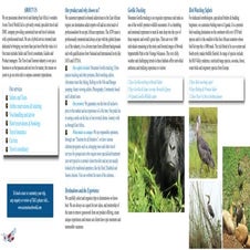 Kiwoito africa safaris | PPTX