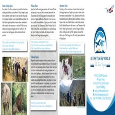 Avens leaflet brochure pg.1 | PPT