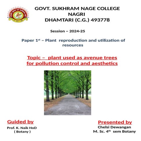 avenue tree notes.pptx . | PPTX