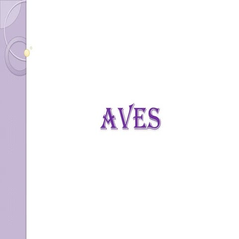Aves | PPTX