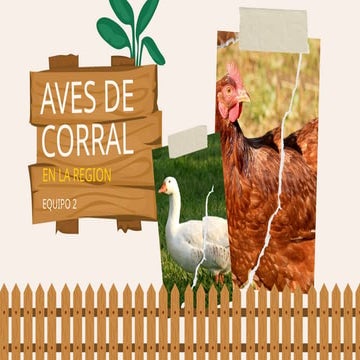 AVES DE CORRAL PARA EL ESTADO DE BAJA CALIFORNIA | PPTX