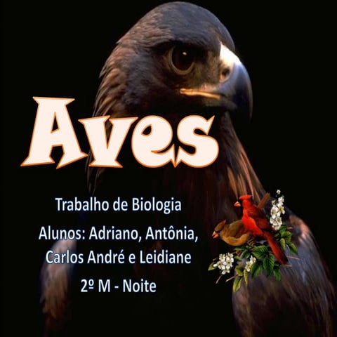 Aves | PPTX