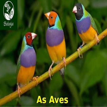 aves 2.pdf