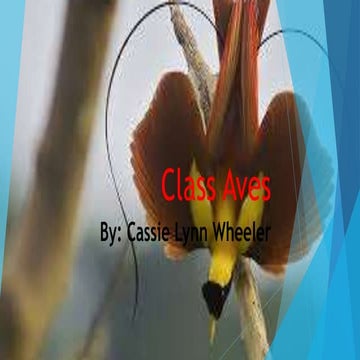 Classification of aves | PPTX