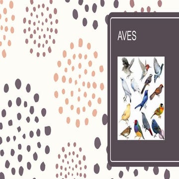 Aves .pptx
