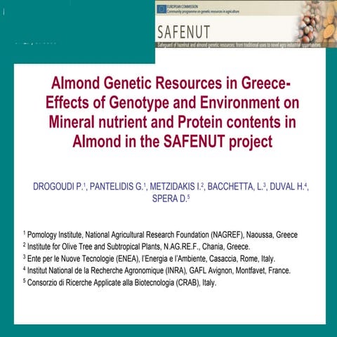 Almendra2 ingles | PDF