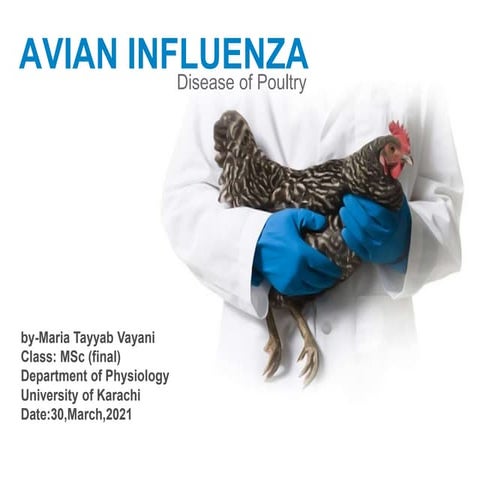 Avian fluenza virus | PPT