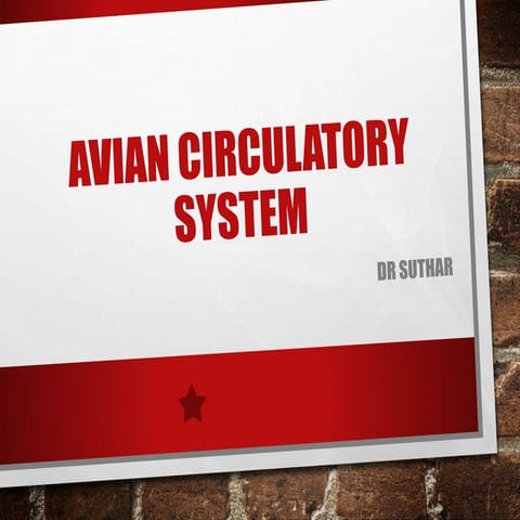 Avian circulatory system | PPTX