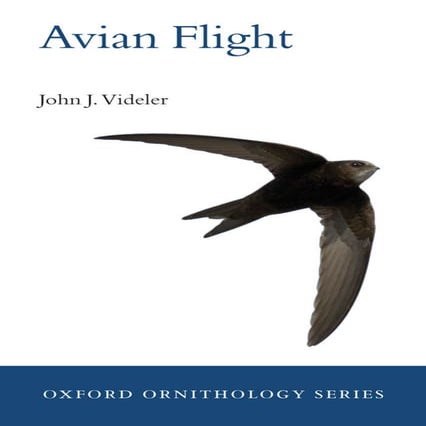 Avian flight ( PDFDrive ).pdf