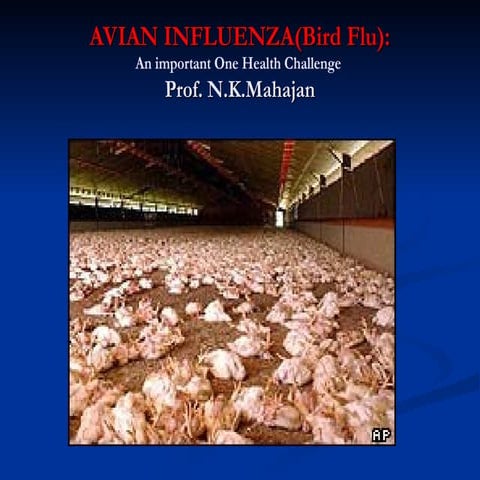 Avian Influenza ..zoonoses one health...ppt