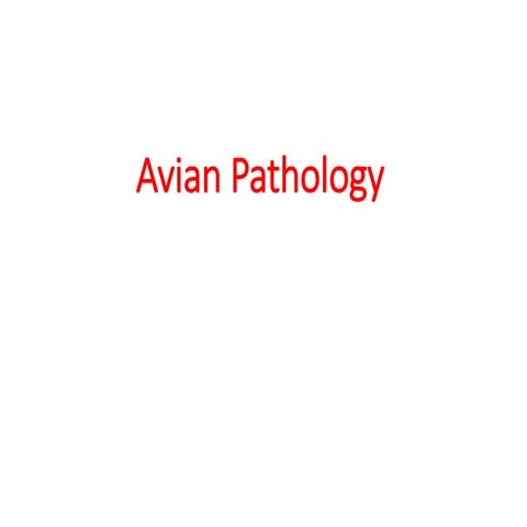 Avian Pathology.pptx