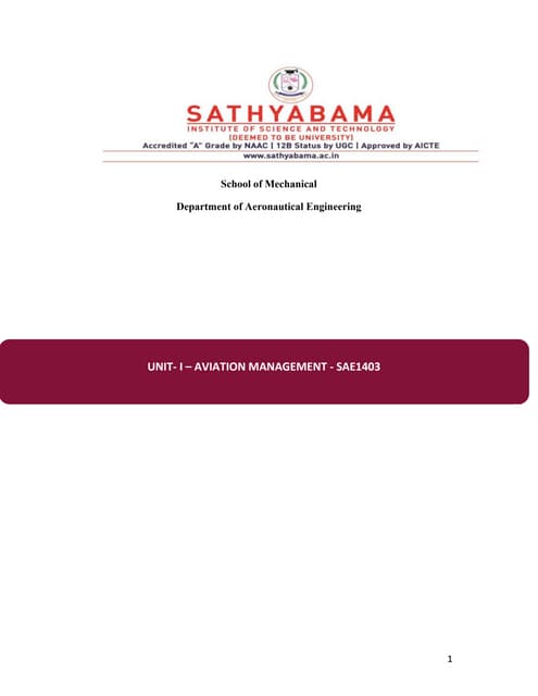 Basic Aviation | PPTX | Air Travel | Travel Type