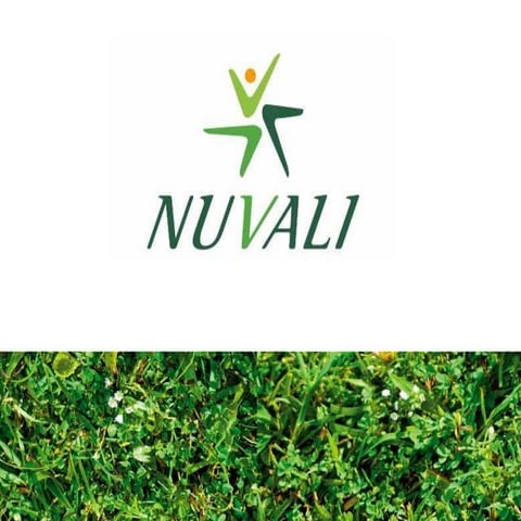 Avida Nuvali 2014 | PDF