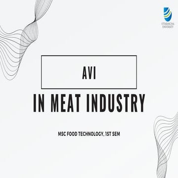 Automated Vision Inspection in Meat Industry | PDF