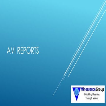 Avi reports | PPSX