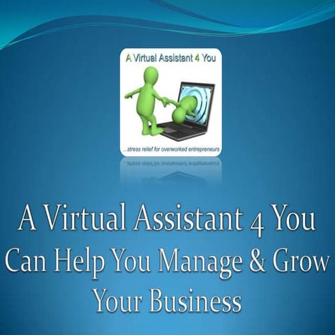 Professional Virtual Assistant for your business. | PDF