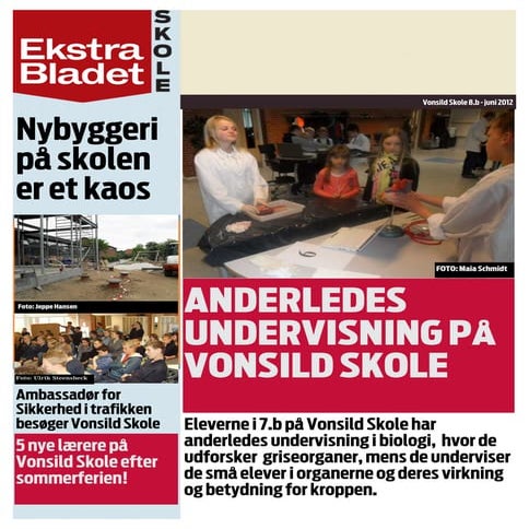 Avisen i undervisningen | PDF