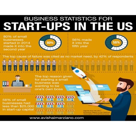 Business Statistics for Start -Ups in the US | PDF