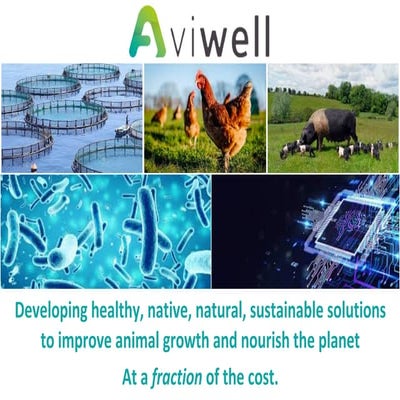 Aviwell Seed Pitch Deck | PDF