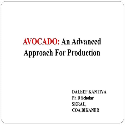 AVOCADO : An Advanced Approach For Production | PPT