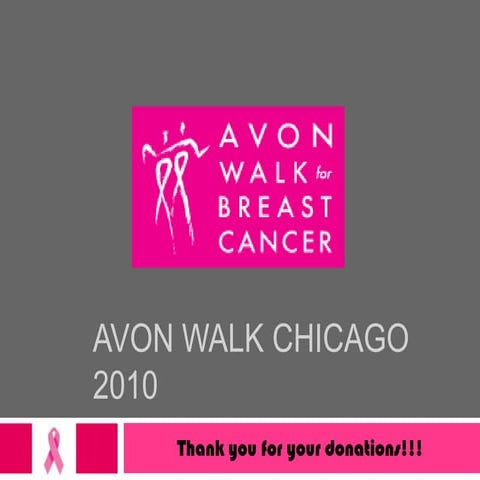 Avon Walk Chicago 2010 | PPT