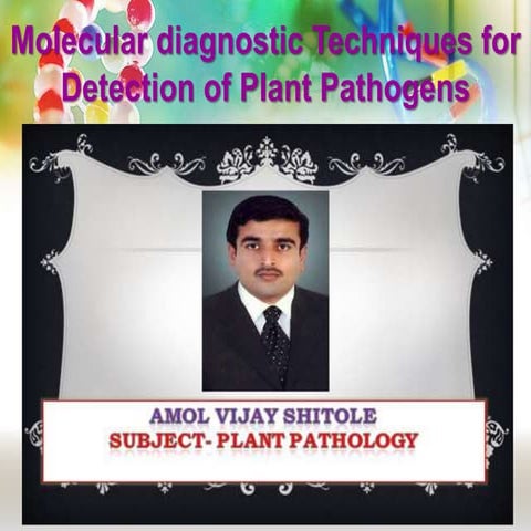 Avs molecular diagnostic techniques for detection of plant pathogens | PPTX