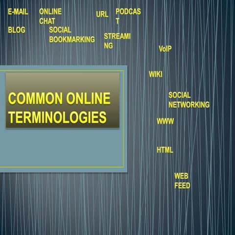 Common Online Terminologies | PPT