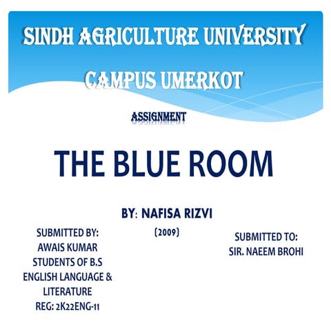 Awais Kumar Assignment The Blue Room.pdf