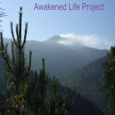 Awakened life project | PPTX