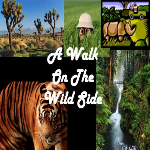 Biome travel brochure directions | DOC