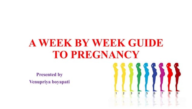 Pregnancy Symptoms Week By Week: Guide To Pregnancy Stages, 01/31/2024