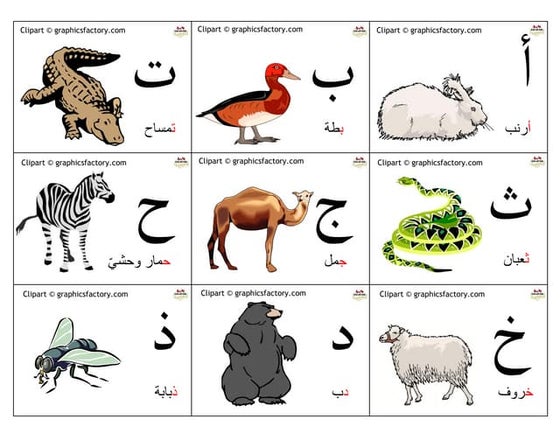 AWN Word find fun | PDF