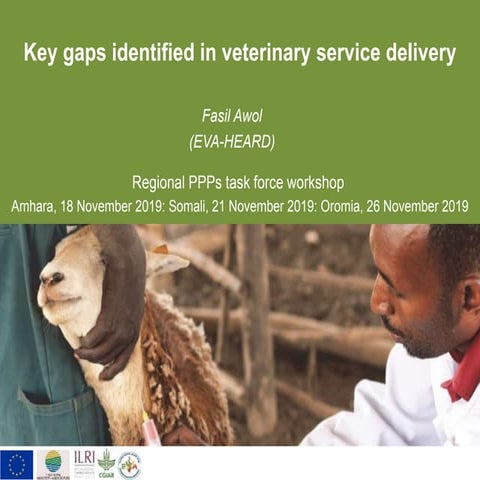 Key gaps identified in veterinary service delivery | PPTX