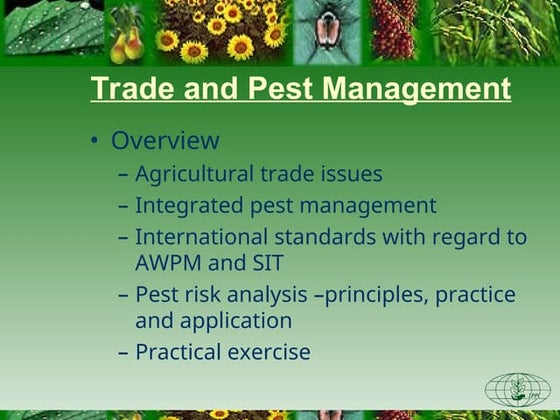 Pest risk analysis | PPT