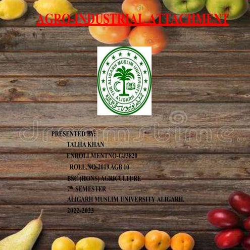 AIA_PRESENTATION_COMPLETE.pptx