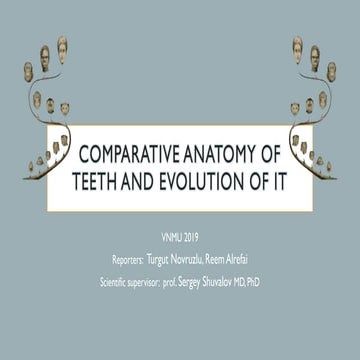 Evolution of teeth in vertebrates | PPTX
